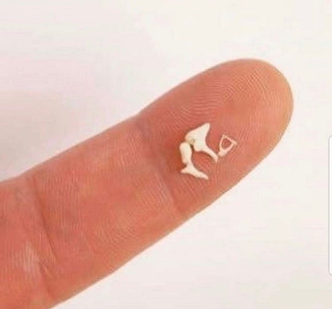 The Smallest Bones In Our Body Make A Big Difference Hearing